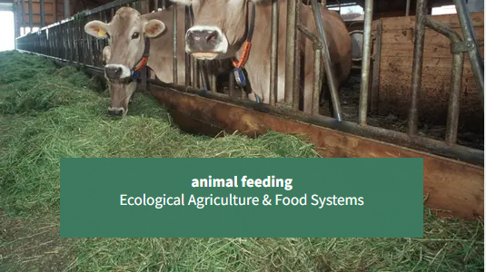 Ecological Farming – agroluem Marketplace